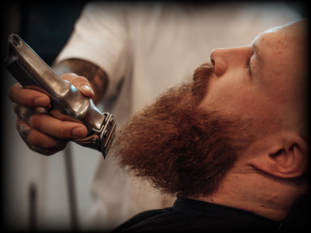 Electric Head & Beard Trimmers – Barbarossa Brothers